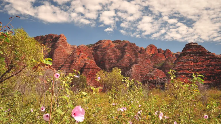 Miriwoong calendar | The Bureau of Meteorology