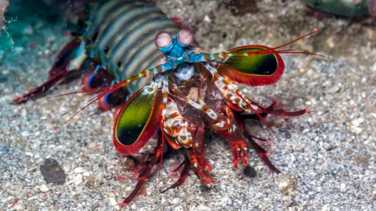Erub Island calendar | The Bureau of Meteorology