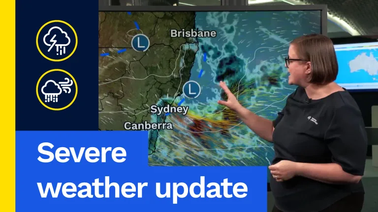 Severe Storms, Heavy Rain Slam NSW | Mirage News