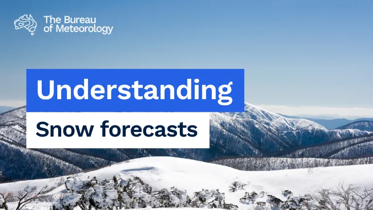 What To Look For In Snow Forecasts This Winter | Mirage News